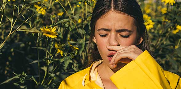 Pollen Paris Aujourd’hui : Carte pollen de Paris | Kleenex